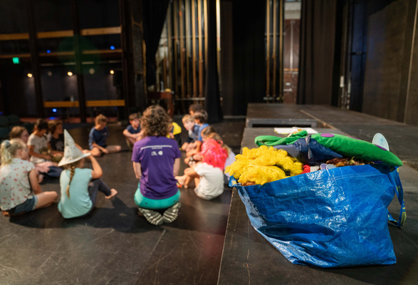 Enrol for Gecko Ensembles | BREC