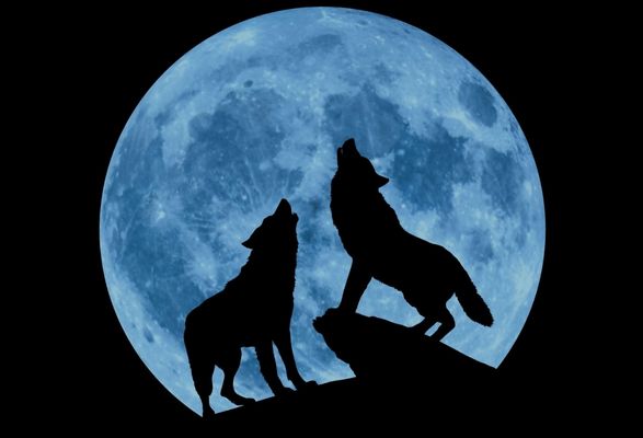 Creedence Clearwater Collective | BREC